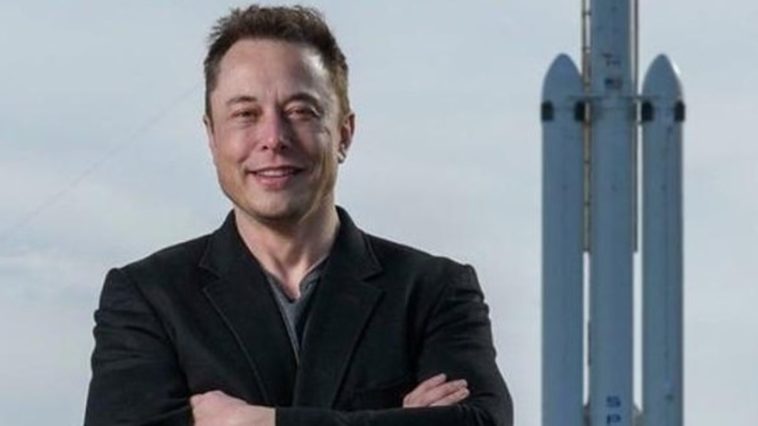 Xavier Alexander Musk Archives - FeedClub